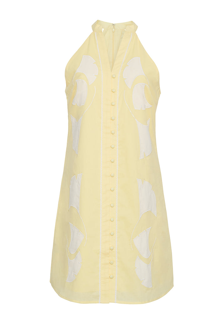 Anna Cate Collection
